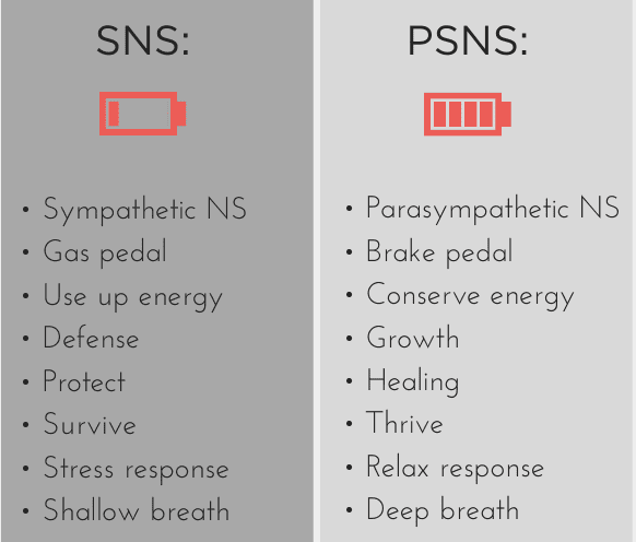 The Neurophysiology of Trauma