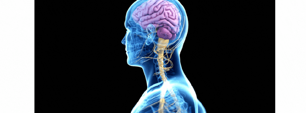 Having a rewire today.