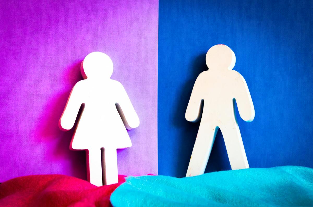 Sex Differences In Brain Reward Pathways Lindacjturner